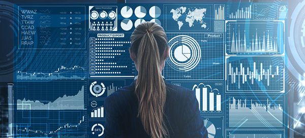 Network Insight - Ocala, Gainesville, Orlando | Verteks Consulting, Inc.