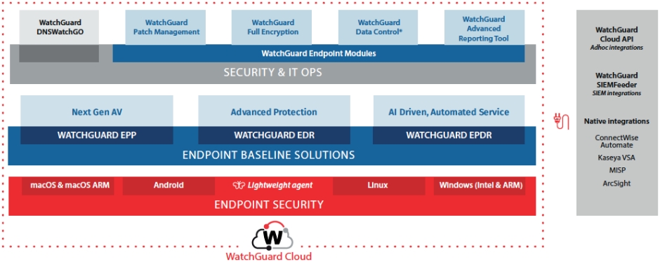 Watchguard - Ocala, Gainesville, Orlando | Verteks Consulting, Inc.