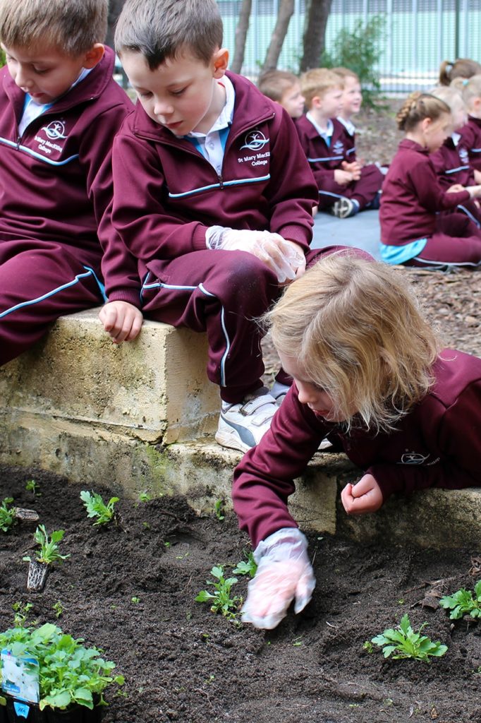 Pre Primary students plant interactive gardens | St Mary MacKillop College