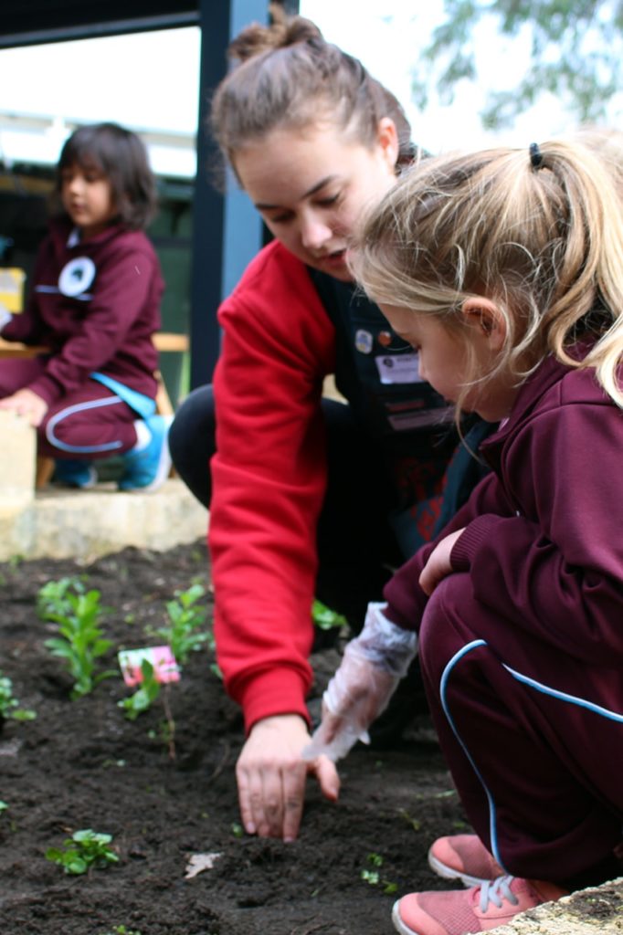 Pre Primary students plant interactive gardens | St Mary MacKillop College