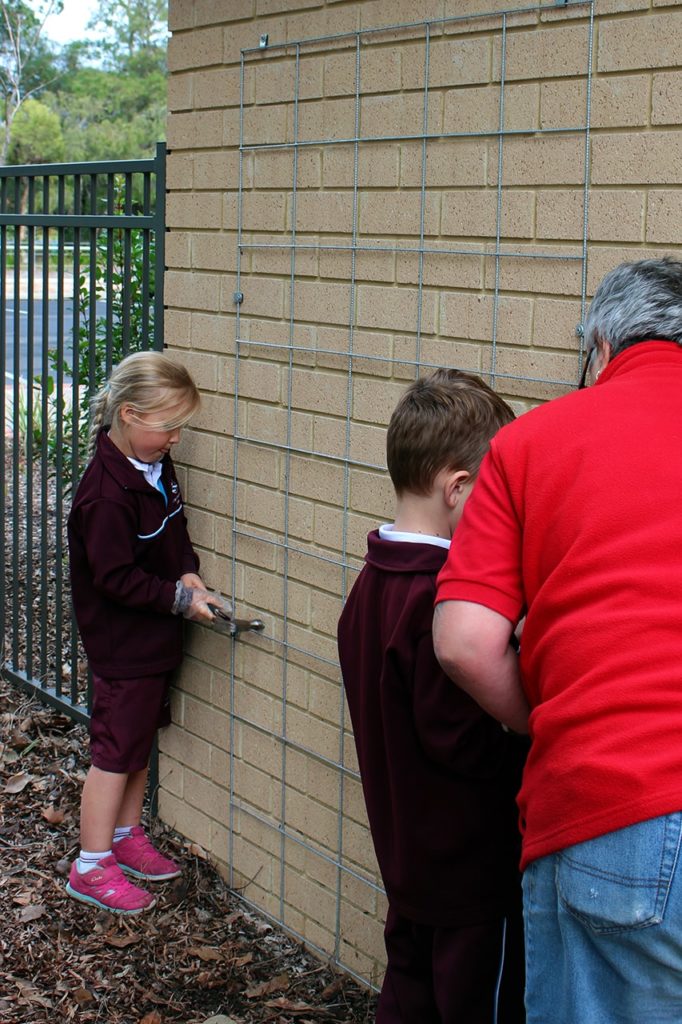 Pre Primary students plant interactive gardens | St Mary MacKillop College