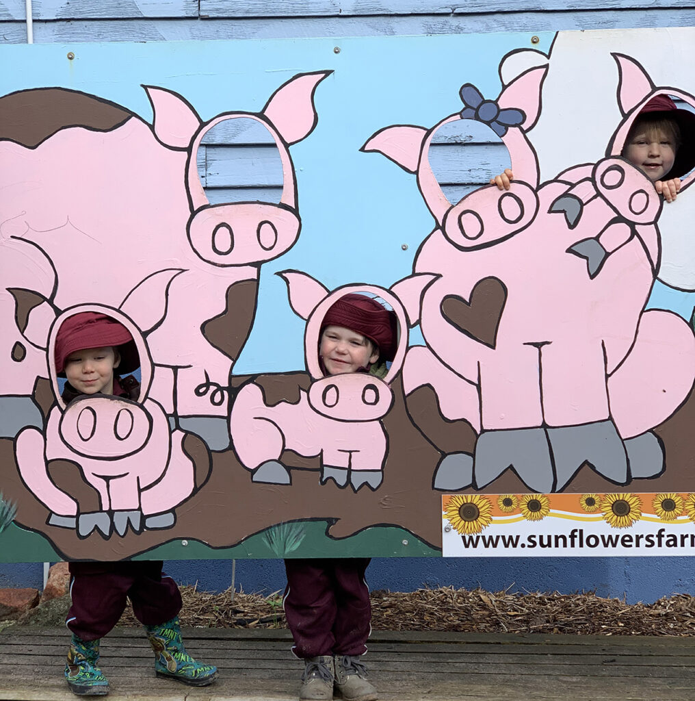 Kindy visits Sunflower Farm | St Mary MacKillop College