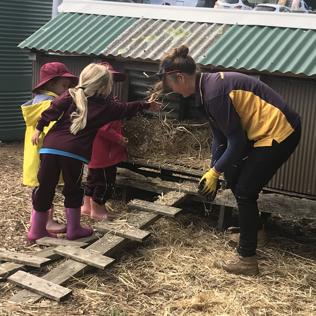 Kindy visits Sunflower Farm | St Mary MacKillop College