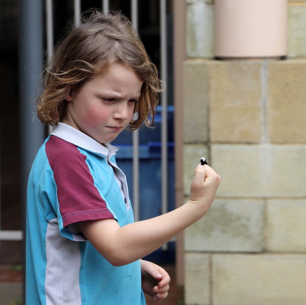 Earth Science Incursion | St Mary MacKillop College