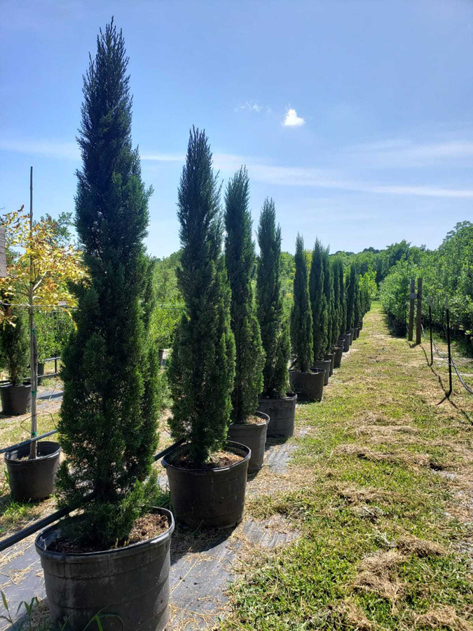 Photo Gallery - Brenham Immediate Area, Houston and Austin, TX ...