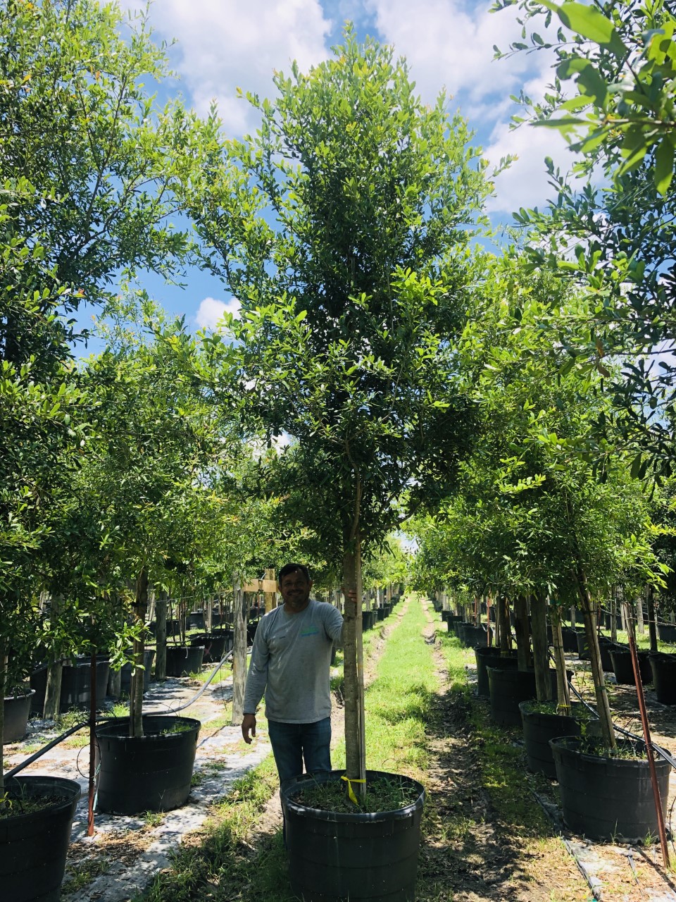 Photo Gallery - Brenham Immediate Area, Houston and Austin, TX ...