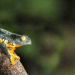 Equitable Origin | Home