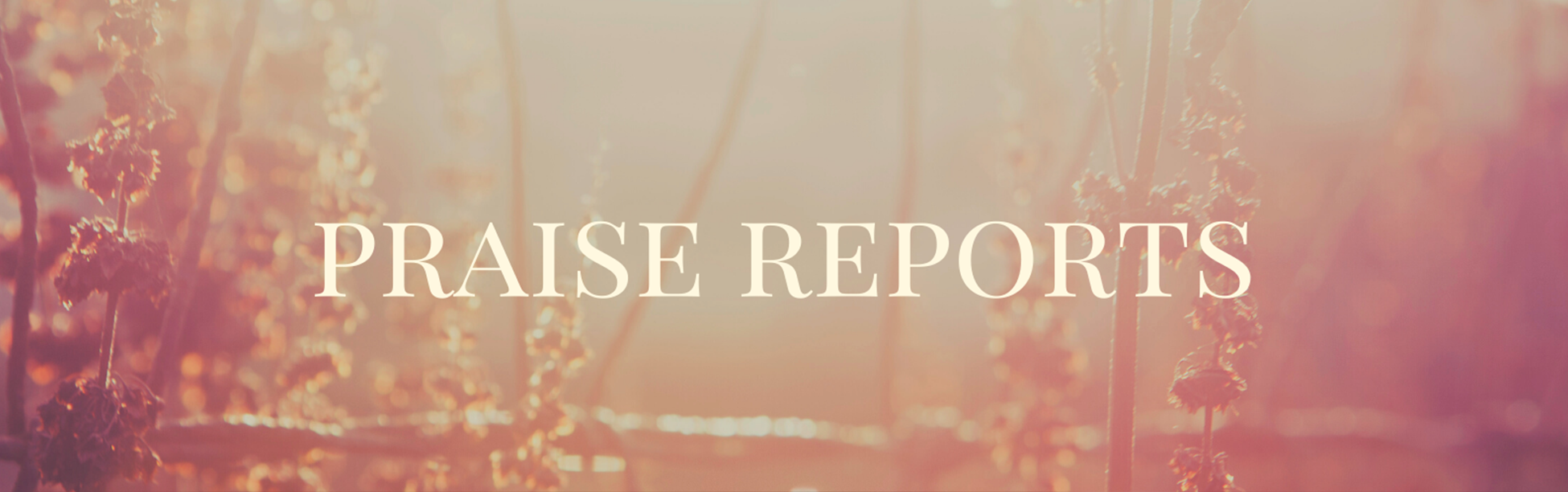 Bible Teachings in Toronto | Andrew Wommack Ministries Canada