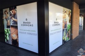 Window Wraps | Window Graphics | Orange County