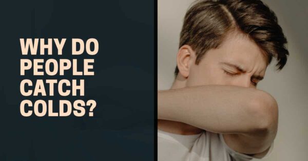 Why Do People Catch Colds?