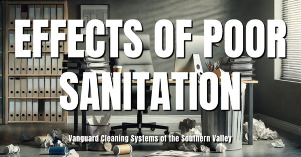 Effects of Poor Sanitation [VIDEO]