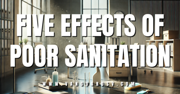 Five Effects of Poor Sanitation [VIDEO]