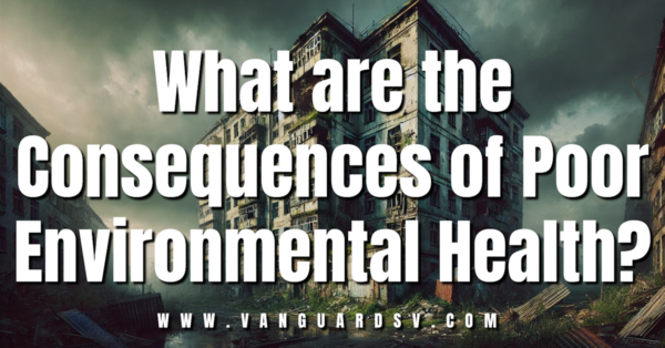What are the Consequences of Poor Environmental Health? [VIDEO]