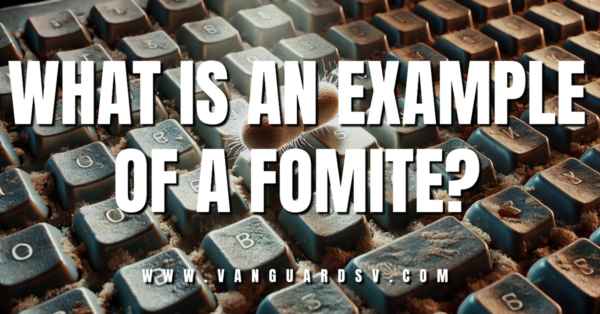 What is an Example of a Fomite? [VIDEO]