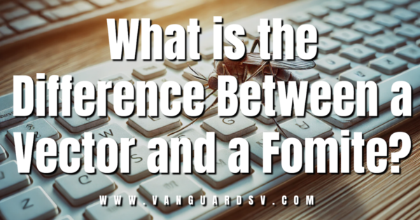 What is the Difference Between a Vector and a Fomite?