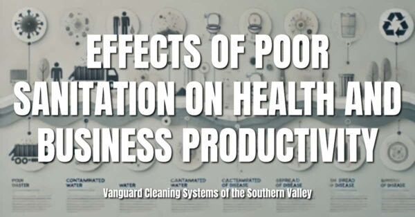 Effects of Poor Sanitation on Health and Business Productivity