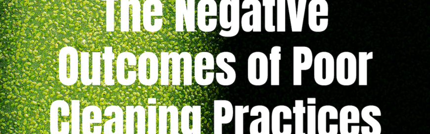 The Negative Outcomes of Poor Cleaning Practices