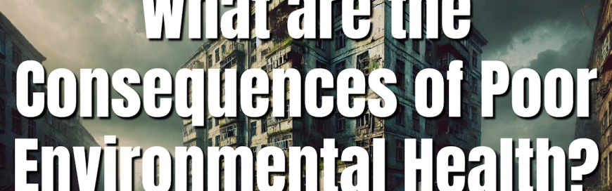 What are the Consequences of Poor Environmental Health? [VIDEO]