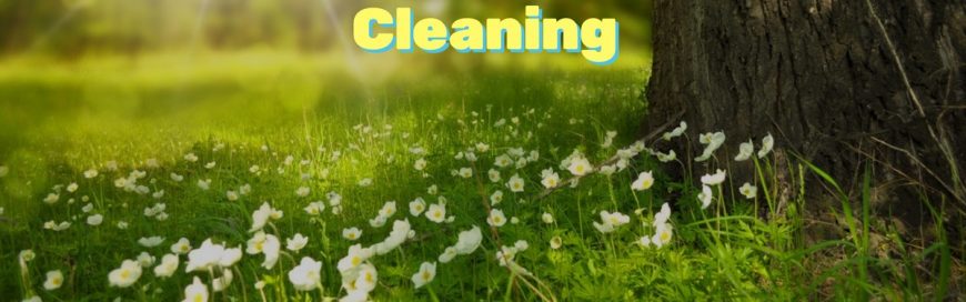 Benefits of Spring Cleaning - Springdale, Tulsa, Fort Smith | Vanguard ...