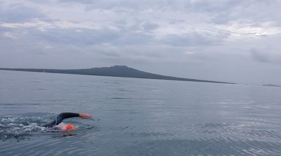 VOYAGE OF THE ORANGE ROUGHY - JUST KEEP SWIMMING! - Albany, Auckland ...