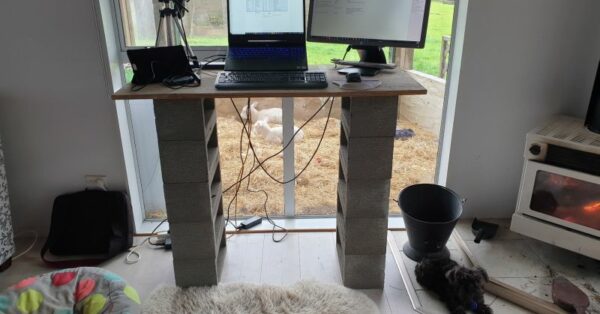 Considerations when setting up your home environment! - Albany ...