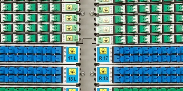 Order Matters: Why Proper Labeling Schemes Are Critical for Patch ...