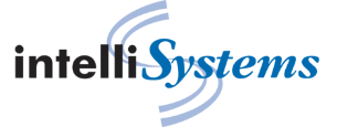 Business IT Solutions - Cyber Security Solutions | IntelliSystems