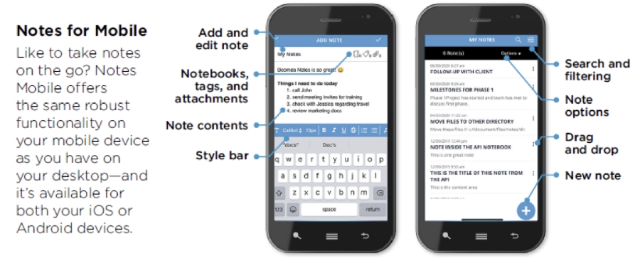 Boomea - Phoenix, Glendale, Scottsdale, Arizona and Los Angeles, San ...