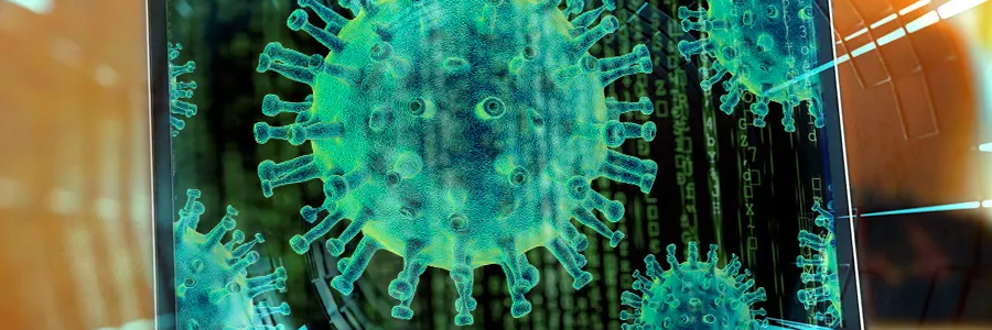 What to Do If Your System Is Infected - Phoenix, Glendale, Scottsdale ...