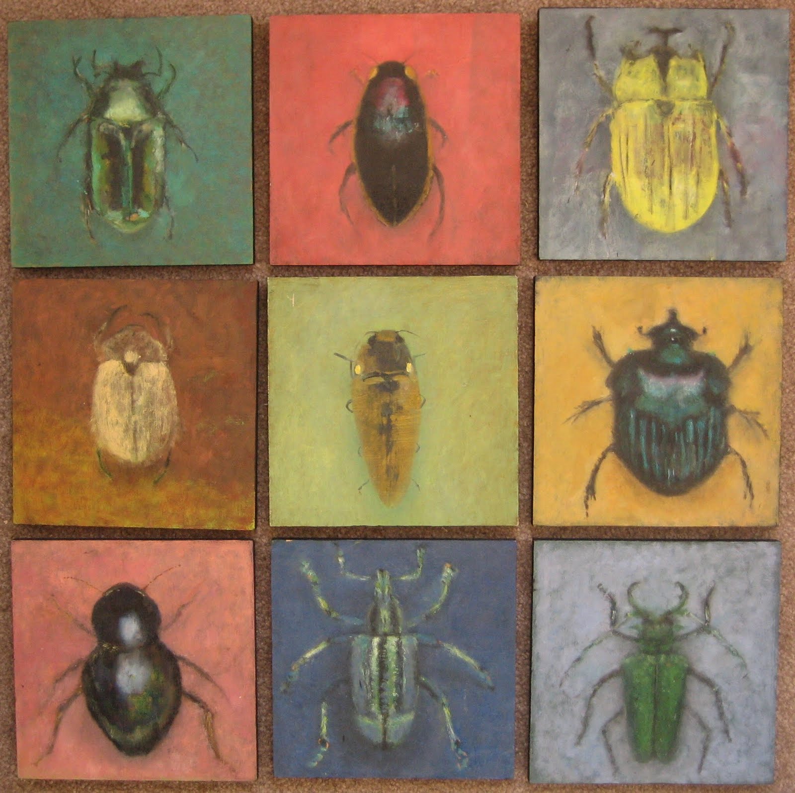 Meet the Beetles - Seattle, Bellevue, Redmond | EB Color